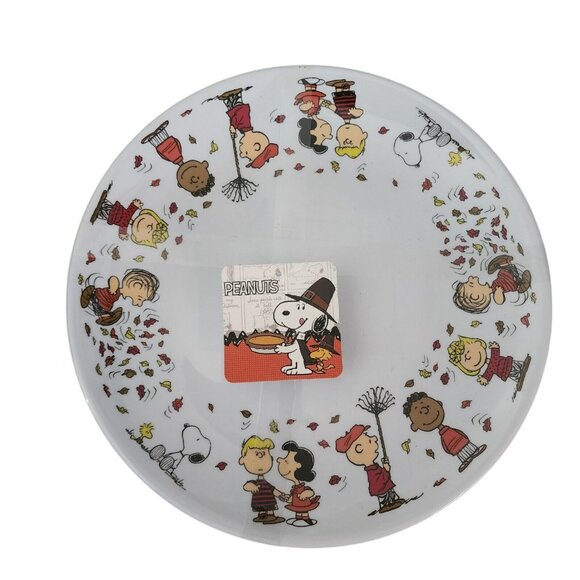 Zrike | Dining | Peanuts Thanksgiving Snoopy Charlie Brown Melamine ...